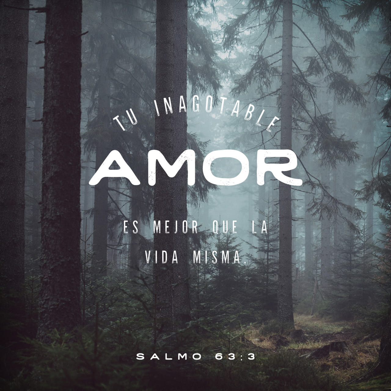 Salmos 63:1-5 Dios, Dios mío eres tú; De madrugada te buscaré; Mi alma ...