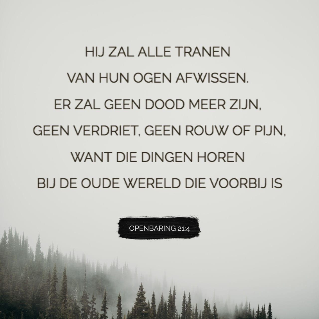 Openbaring 21:4 en Hij zal alle tranen van hun ogen afwissen, en de dood zal niet meer zijn ...