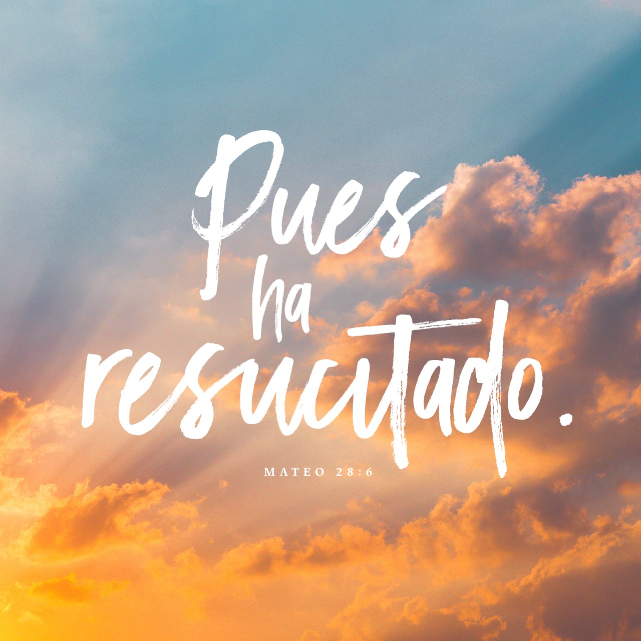 S. Mateo 28:6 No está aquí, pues ha resucitado, como dijo. Venid, ved ...