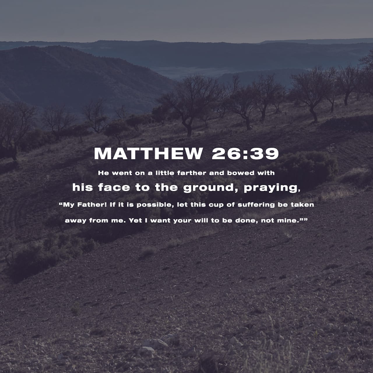 Matthew 26 39 Going A Little Farther He Fell With His Face To The matthew-26-39-going-a-little-farther-he-fell-with-his-face-to-the