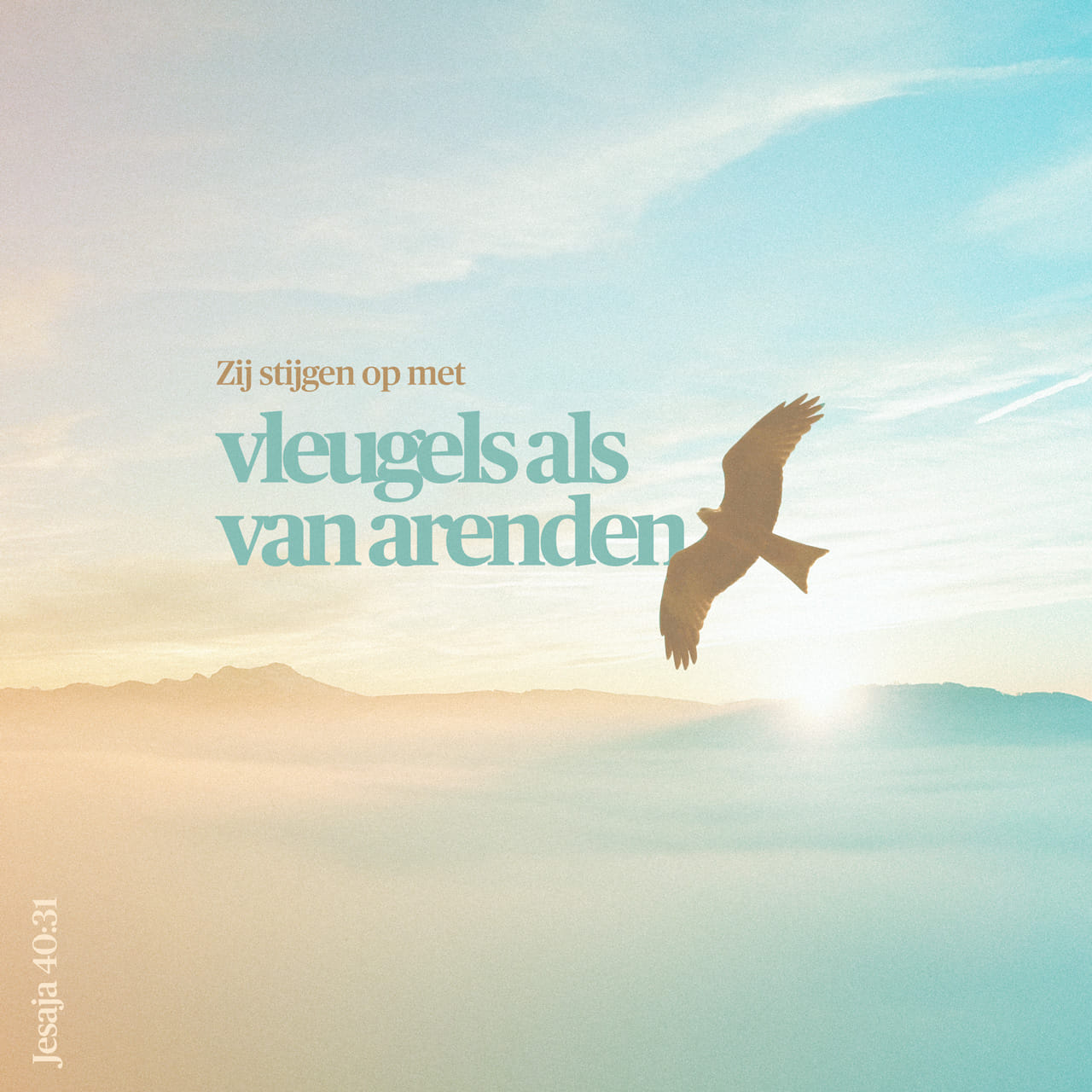 Jesaja 40:31 maar wie de HERE verwachten, putten nieuwe kracht; zij ...