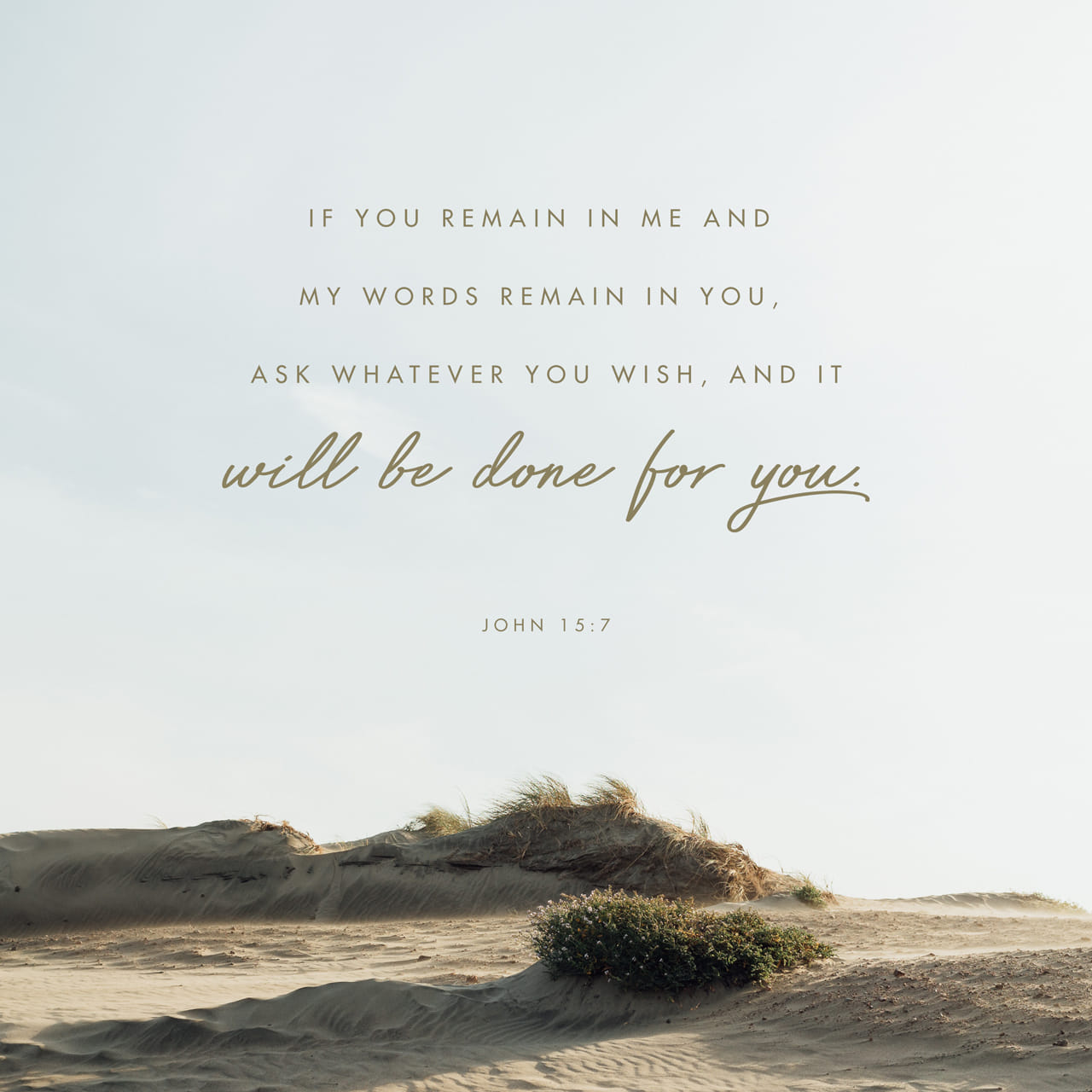 John 15 7 If You Remain In Me And My Words Remain In You Ask Whatever