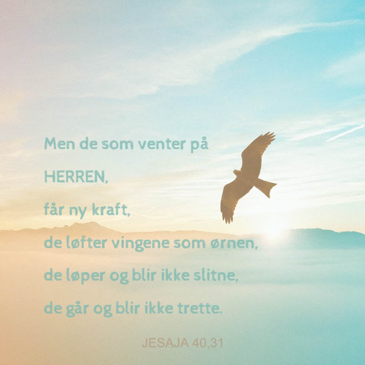 Jesaja 40:31 Men de som venter på Herren, får ny kraft. De løfter ...