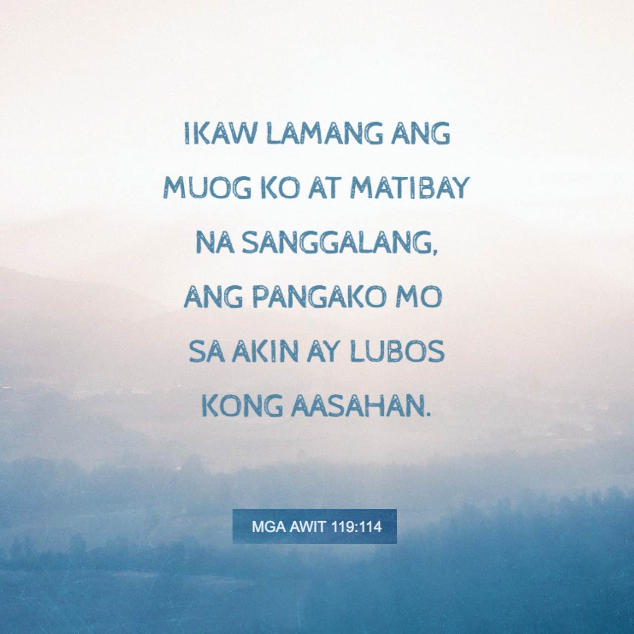 Mga Awit 119:114 Ikaw lamang ang muog ko at matibay na sanggalang, ang ...