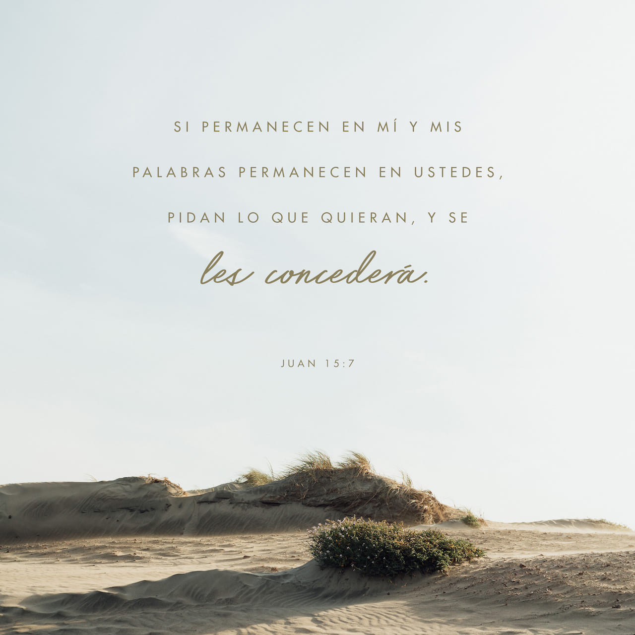 S.Juan 15:7 Si permanecéis en mí, y mis palabras permanecen en vosotros ...