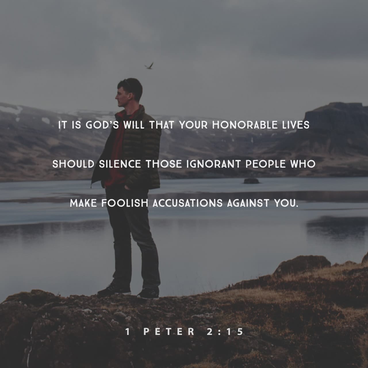 1 Peter 2 13 15 Submit Yourselves For The Lord s Sake To Every Human