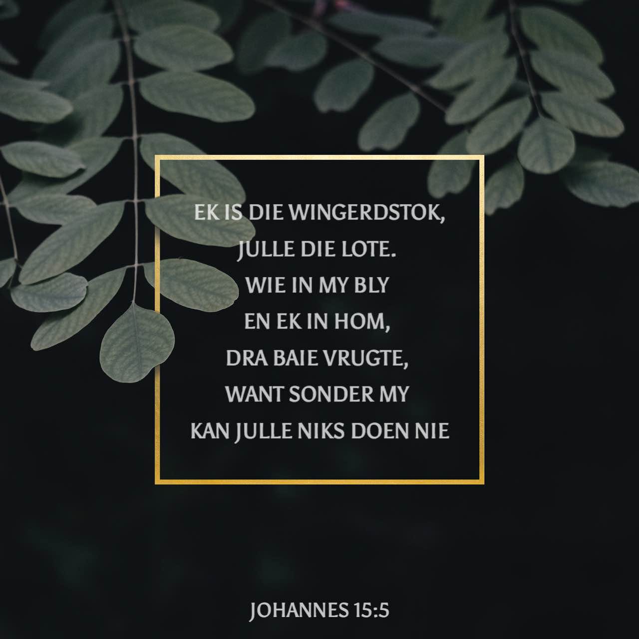JOHANNES 15:5 Ek is die wynstok, julle die lote. Wie in My bly, en Ek ...