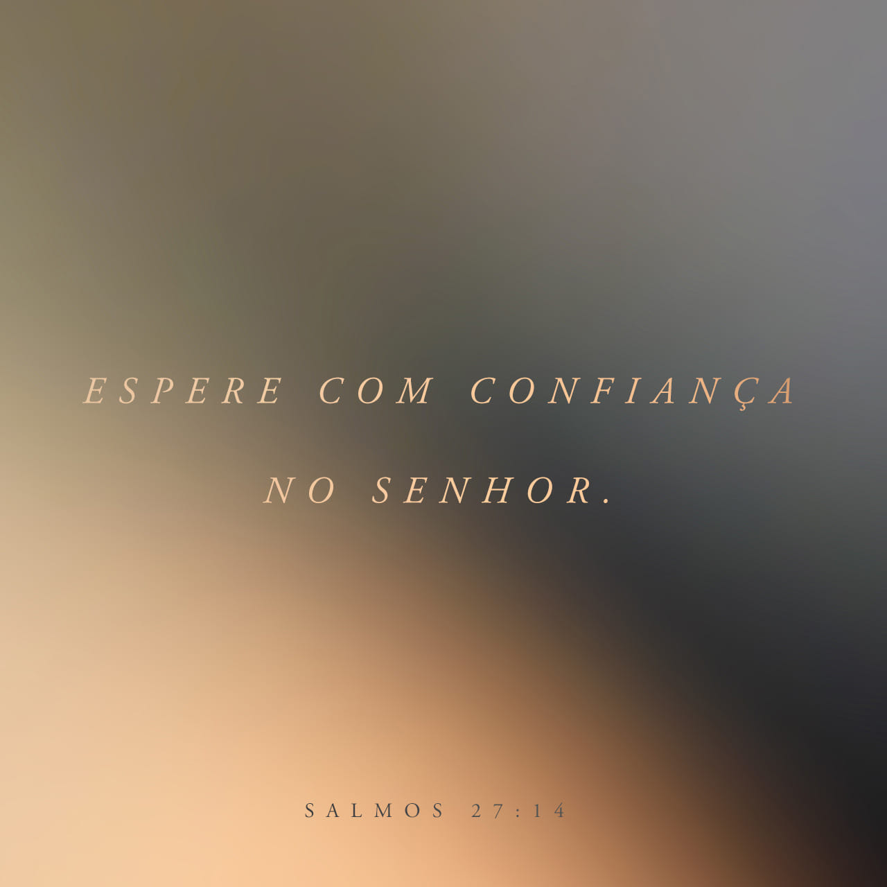 Salmos 27:14 Confie no SENHOR. Tenha fé e coragem. Confie em Deus, o ...