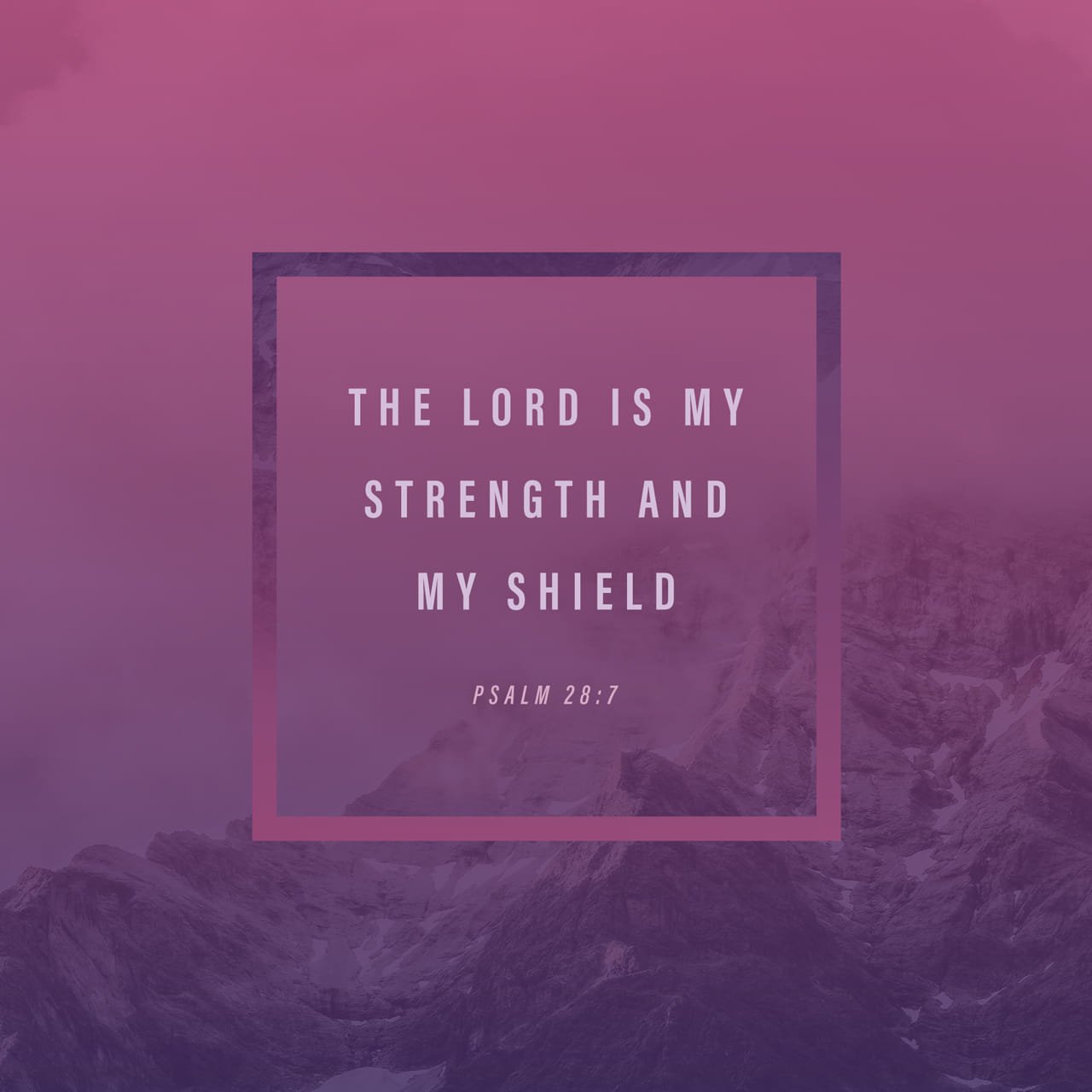 Psalms 28:7 The LORD is my strength and shield. I trust him with all my ...