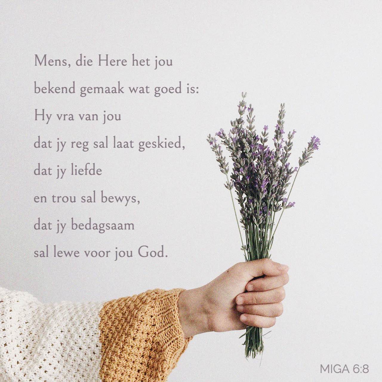 MIGA 6:8 Mens, die Here het jou bekend gemaak wat goed is: Hy vra van ...