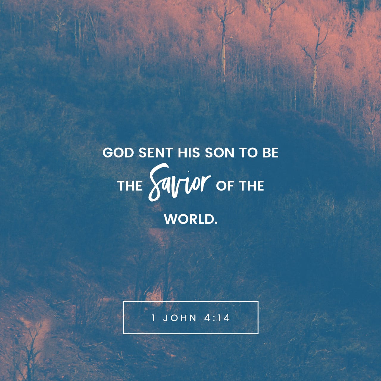 1 John 4 13 15 By This We Know That We Abide In Him And He In Us