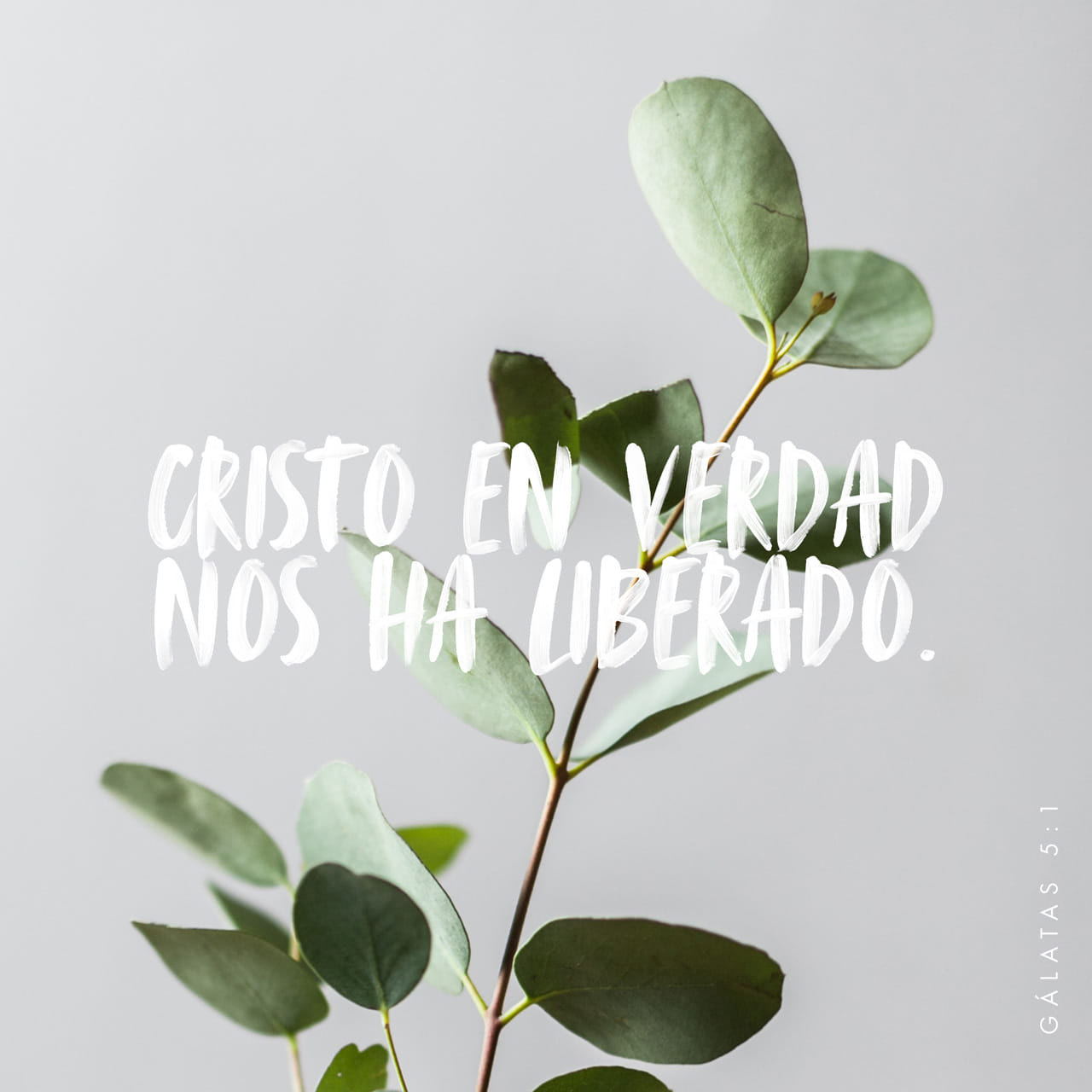 Gálatas 5:1 Estad, pues, firmes en la libertad con que Cristo nos hizo ...