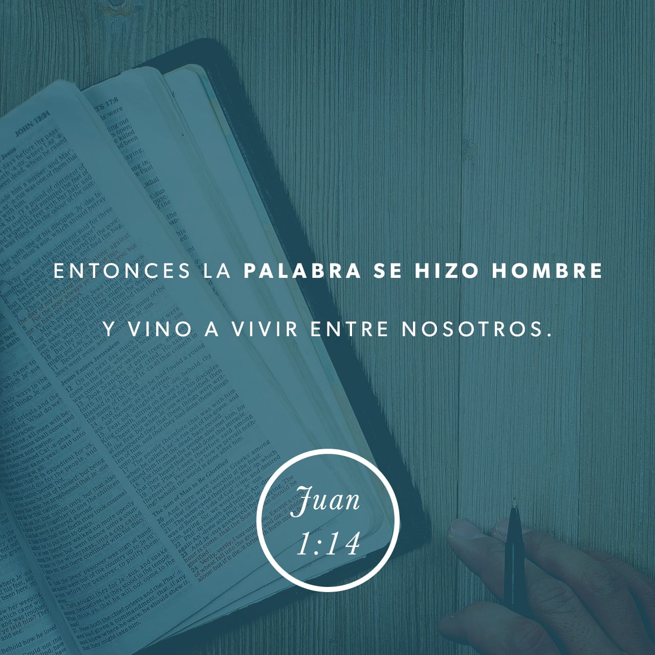 S. Juan 1:14 Y aquel Verbo fue hecho carne, y habitó entre nosotros (y ...
