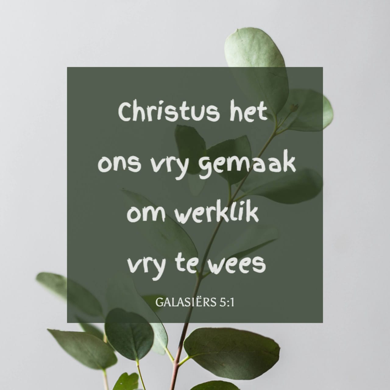 GALASIËRS 5:1-14 Christus het ons vry gemaak om werklik vry te wees ...