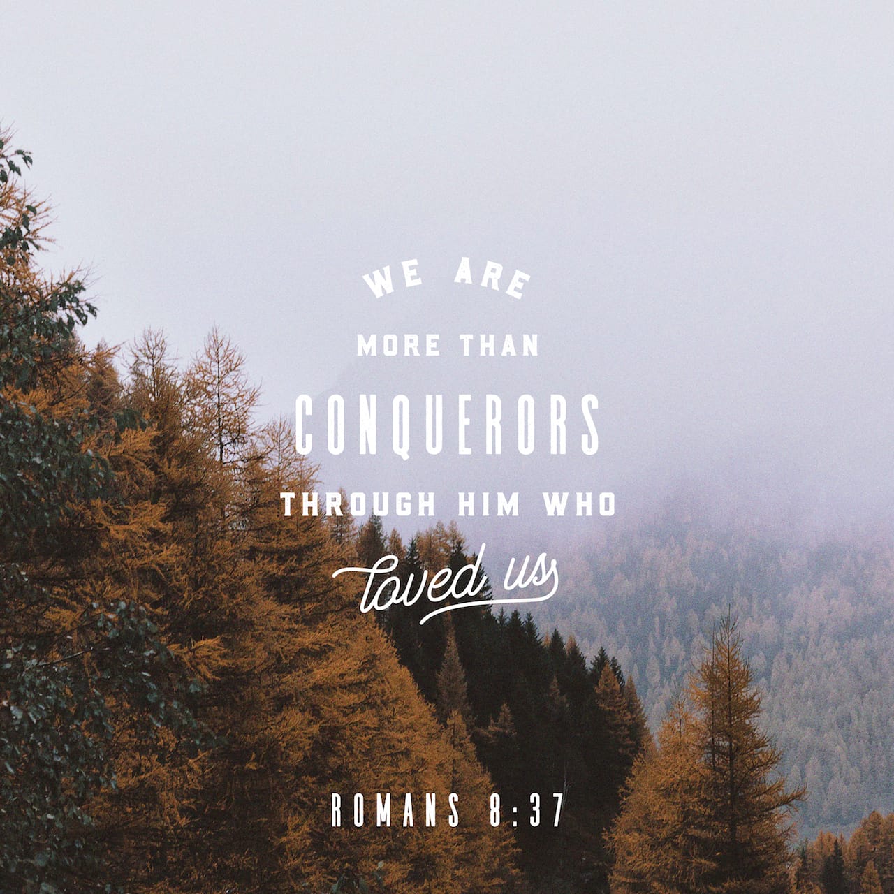 Romans 8 37 Yet In All These Things We Are More Than Conquerors Through romans-8-37-yet-in-all-these-things-we-are-more-than-conquerors-through