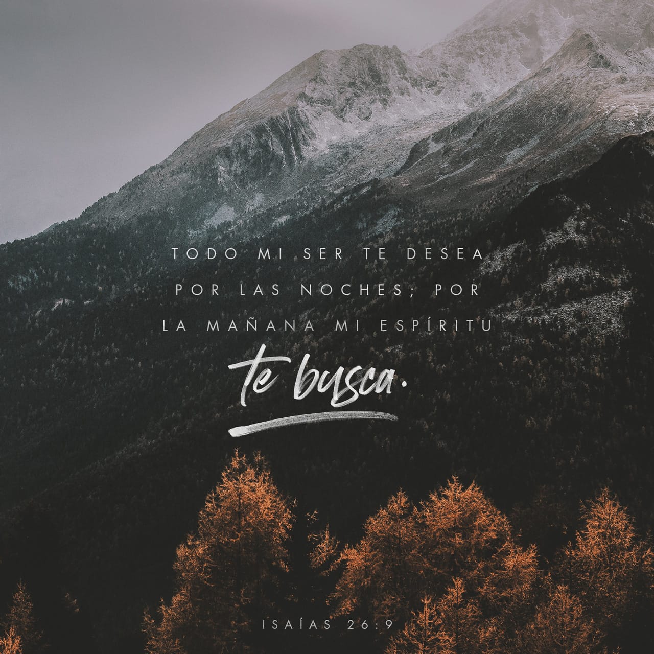 Isaías 26:9 Con mi alma te he deseado en la noche, y en tanto que me ...