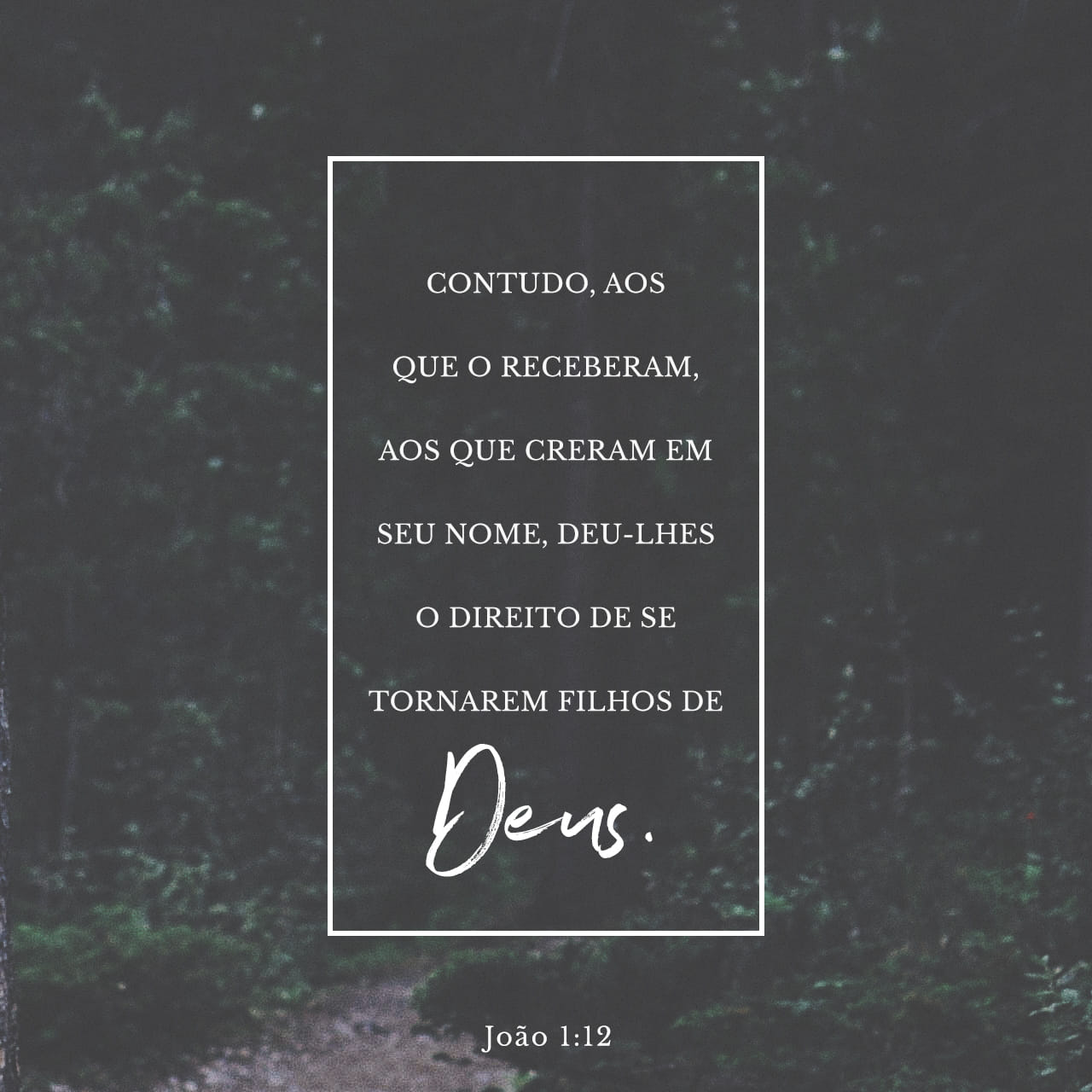 João 1:12 Porém alguns creram nele e o receberam, e a estes ele deu o ...