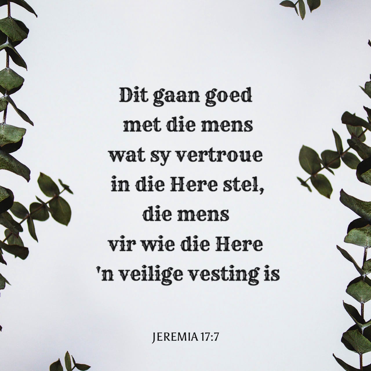 JEREMIA 17:7-8 Dit gaan goed met die mens wat sy vertroue in die Here ...