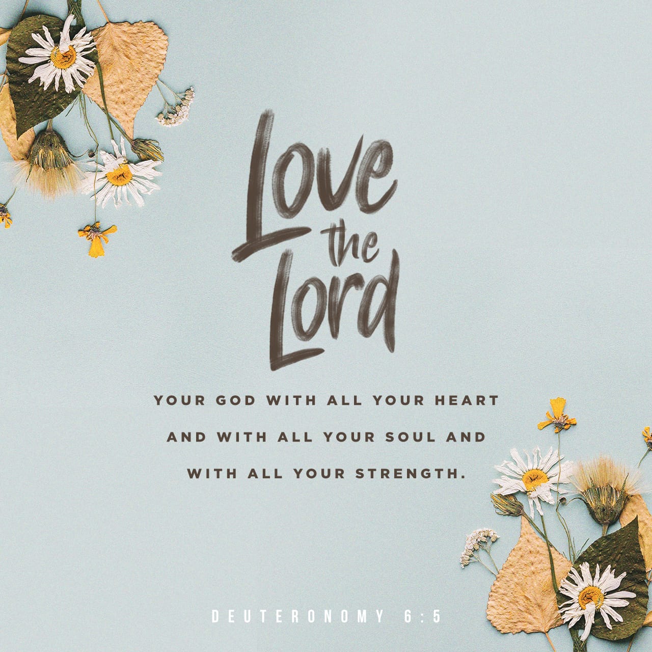 Deuteronomy 6:4-5 Hear, O Israel: The LORD our God, the LORD is one ...