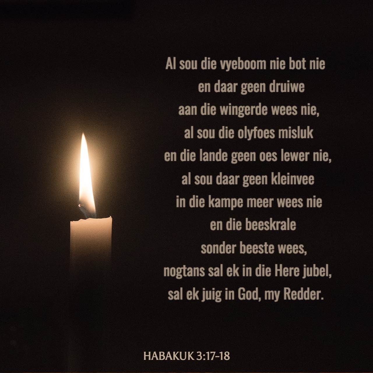 HABAKUK 3:17 Al sou die vyeboom nie bot nie en daar geen druiwe aan die ...