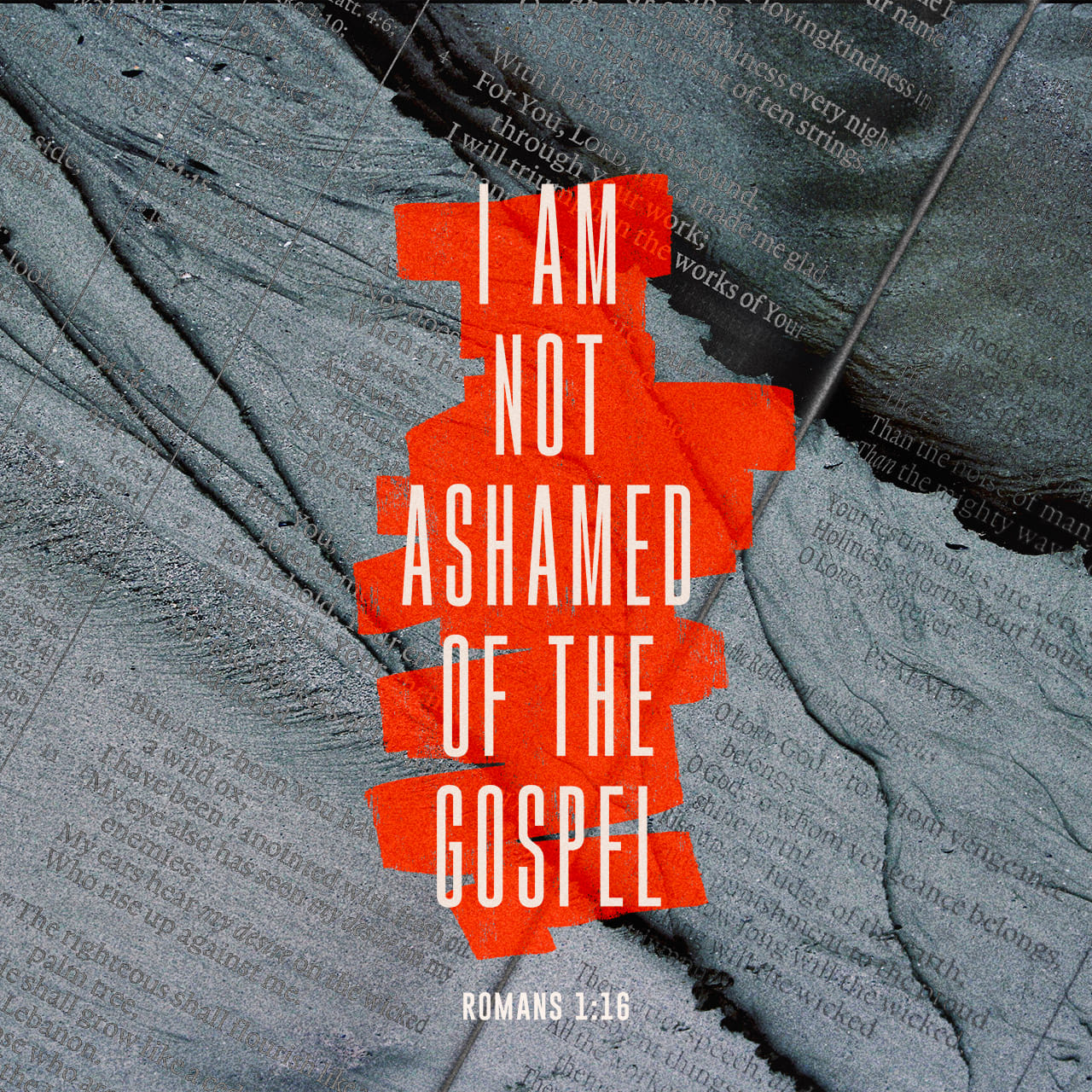 Romans 1:16 For I am not ashamed of the gospel of Christ: for it is the ...