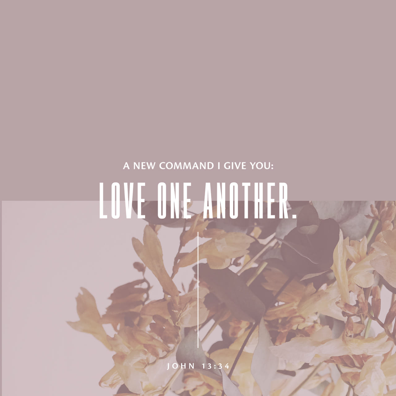 John 13:34 A new commandment I give unto you, That ye love one another ...