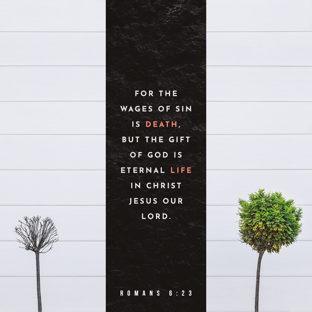 Romans 6:23 For the wages of sin is death, but the free gift of God is ...