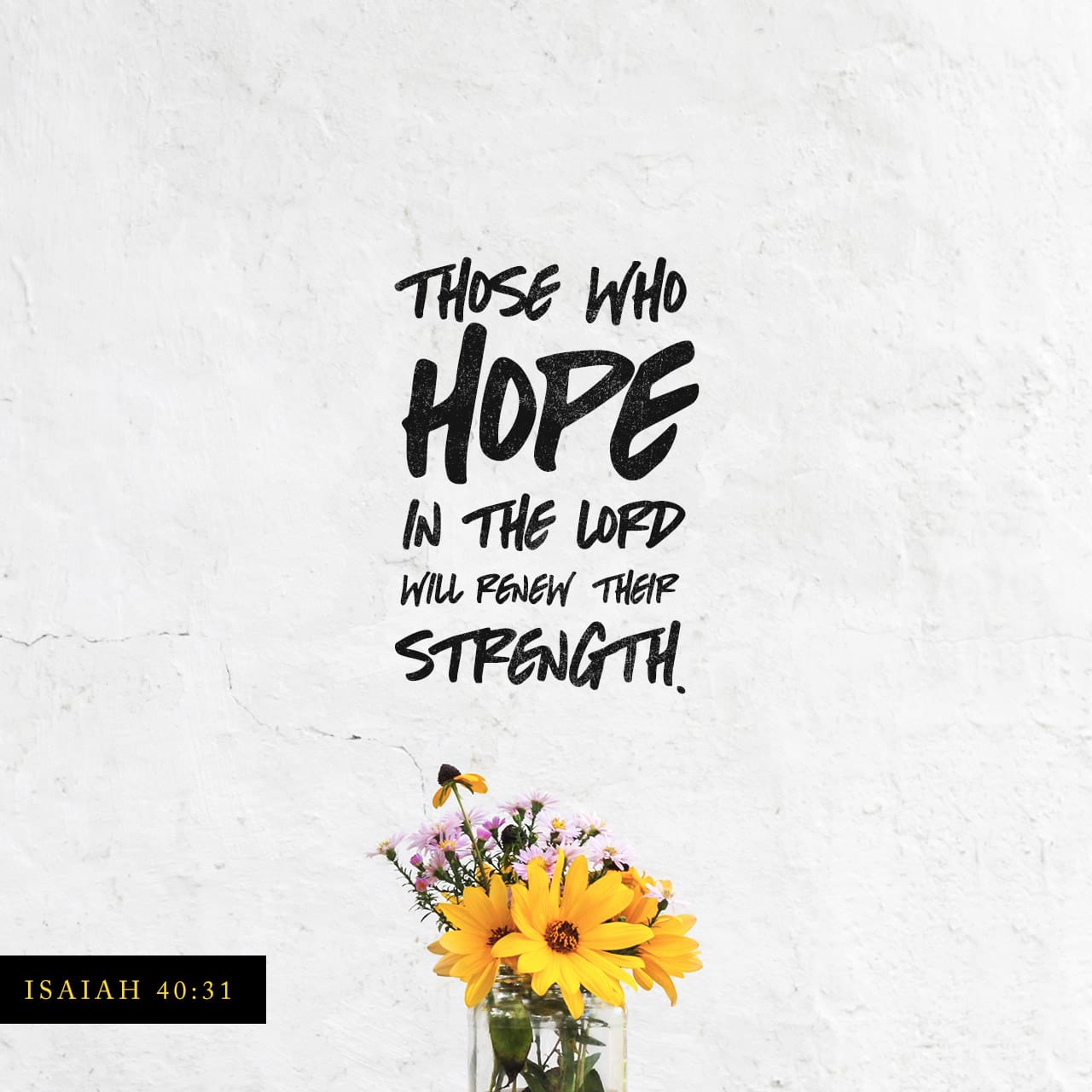 Isaiah 40:31 but those who hope in the LORD will renew their strength ...