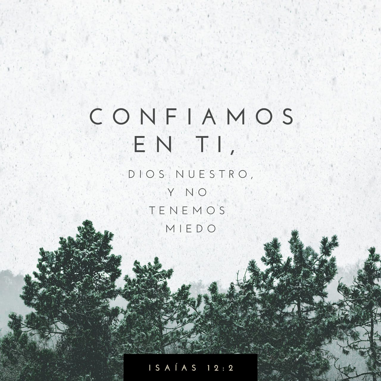 Isaías 12:2 ¡Dios es mi salvación! Confiaré en él y no temeré. El SEÑOR ...