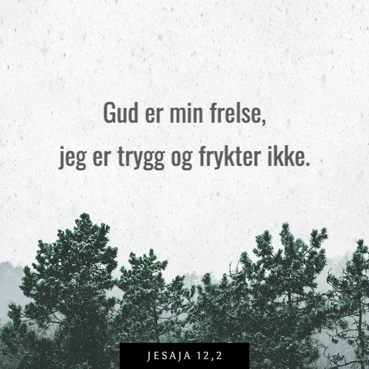 Jesaja 12:2 Se, Gud er min frelse! Jeg er trygg og frykter ikke. For ...
