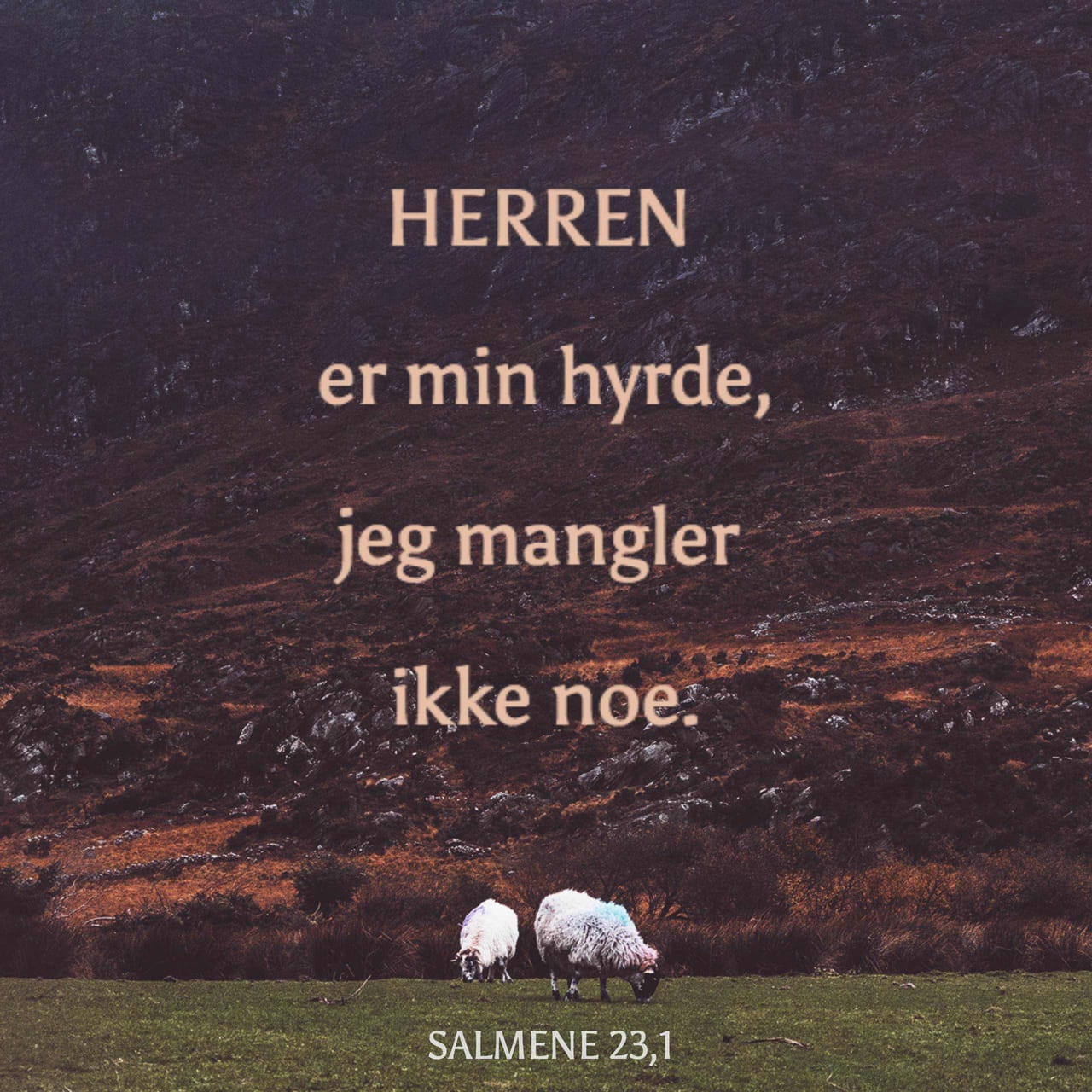 Salmene 23:1 En salme av David. Herren er min hyrde, det mangler meg ingen ting. | Norsk Bibel ...