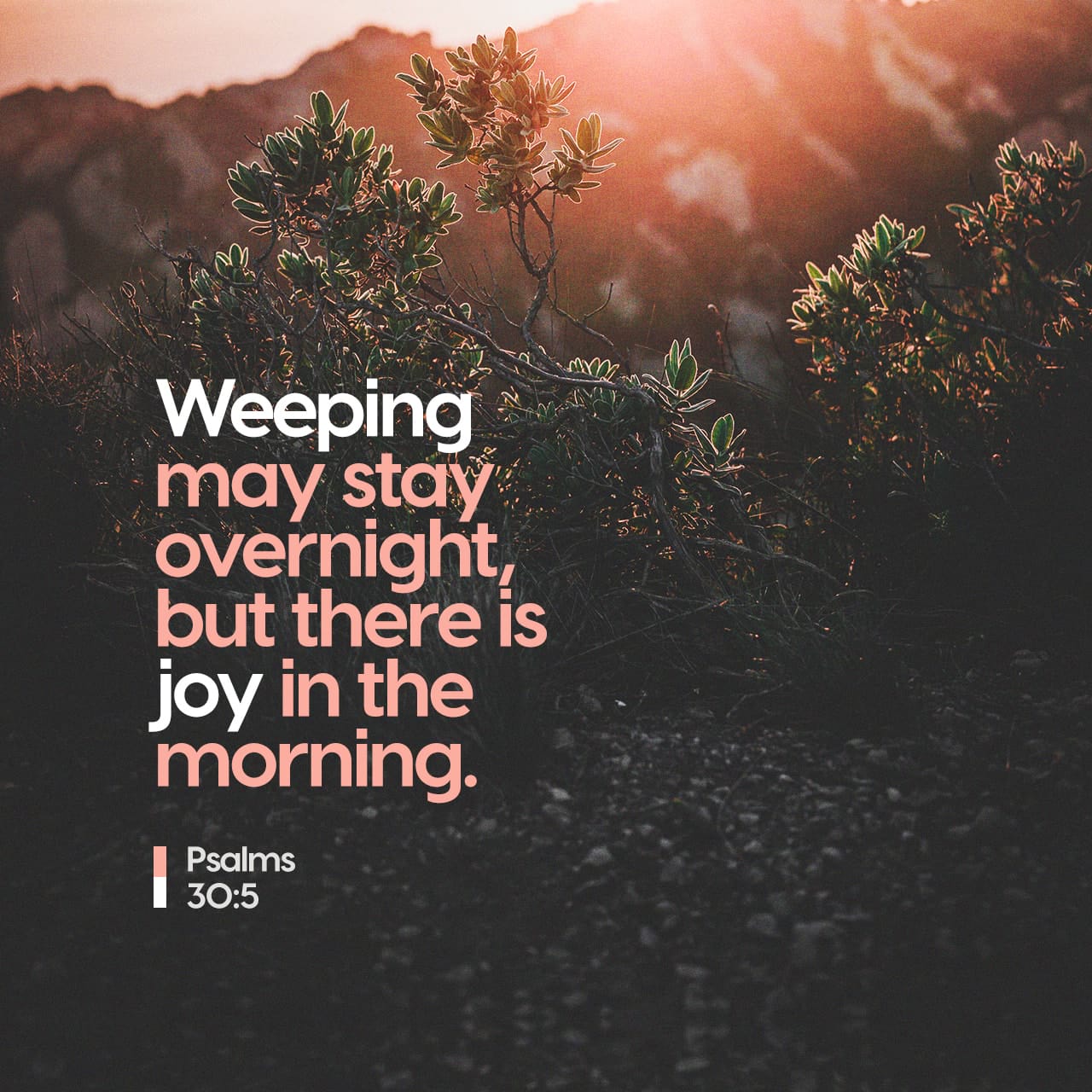 Psalms 30 5 For His Anger Lasts Only A Moment But His Favor Lasts A