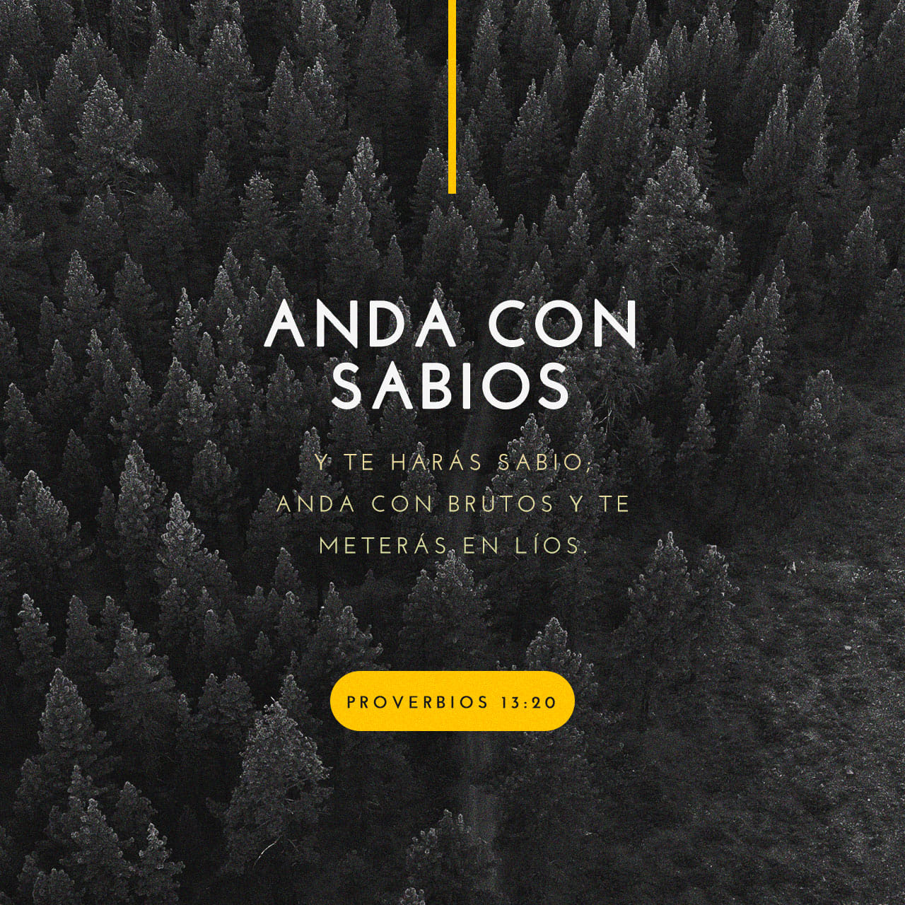 Proverbios 13:20 El que anda con sabios, sabio será; Mas el que se ...