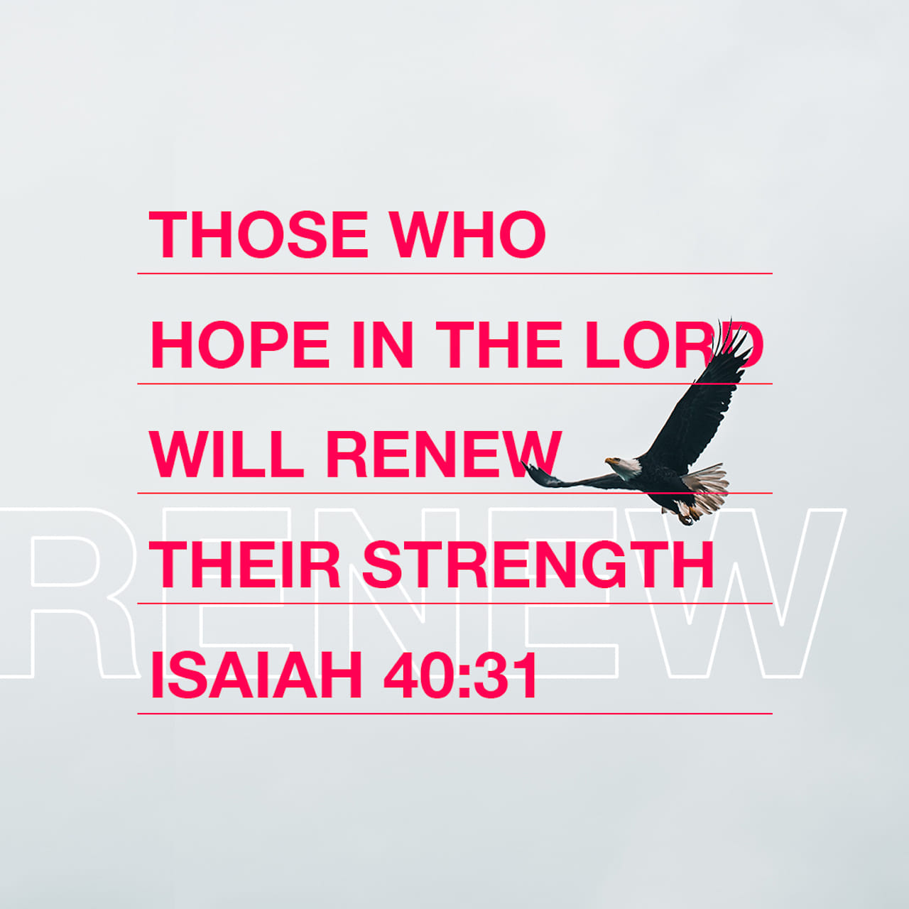 Isaiah 40:31 but those who hope in the LORD will renew their strength ...