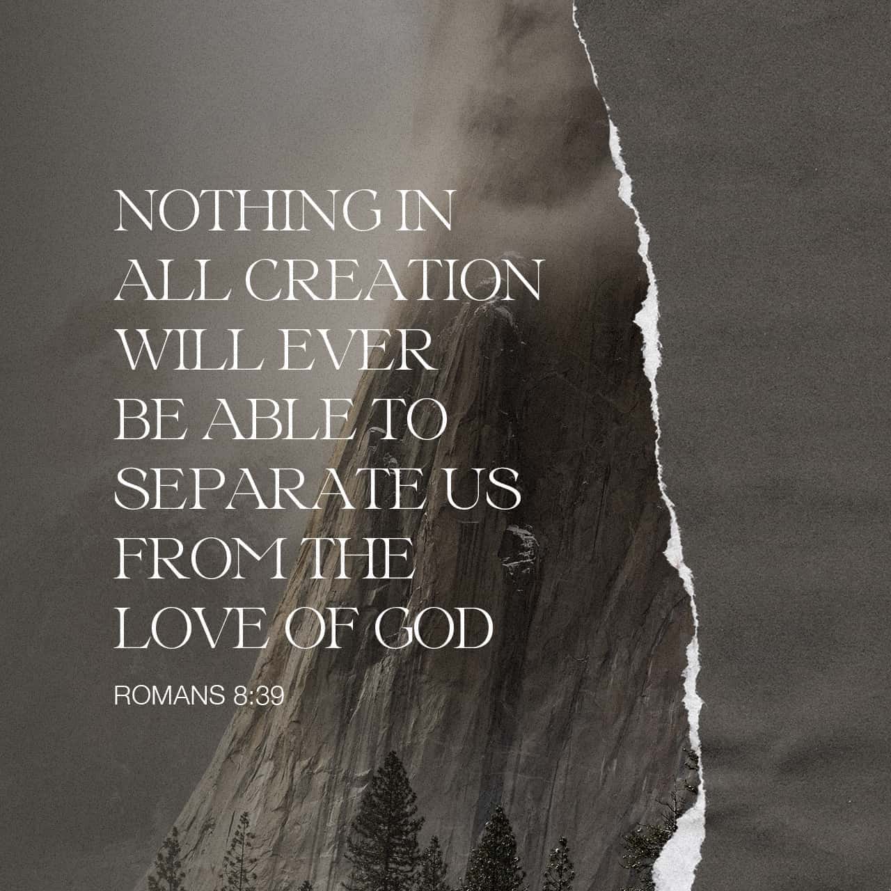 Romans 8 38 39 For I Am Convinced That Neither Death Nor Life Neither