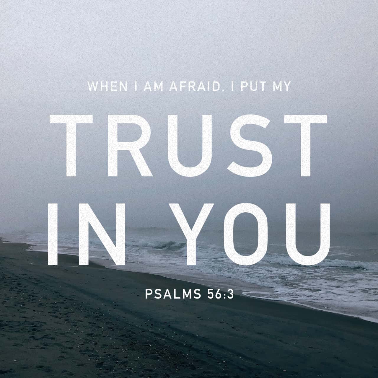 Psalms 56 3 When I Am Afraid I Put My Trust In You New