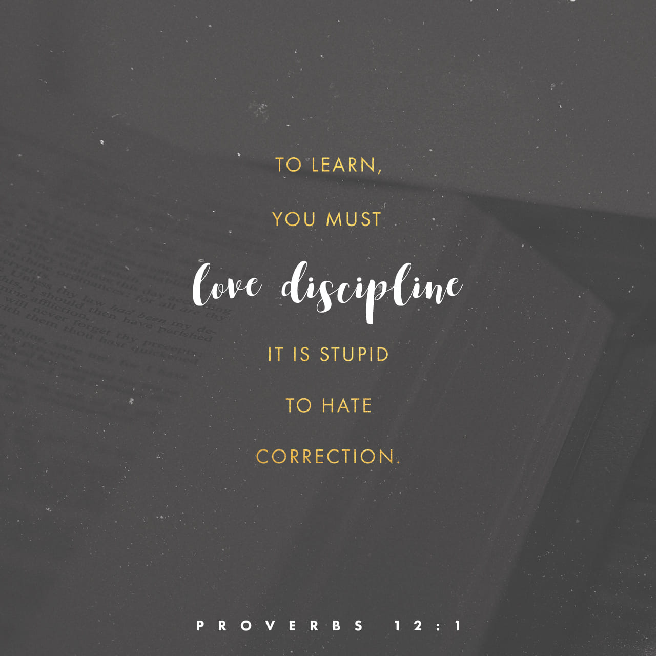 Proverbs 12:1 To learn, you must love discipline; it is stupid to hate ...